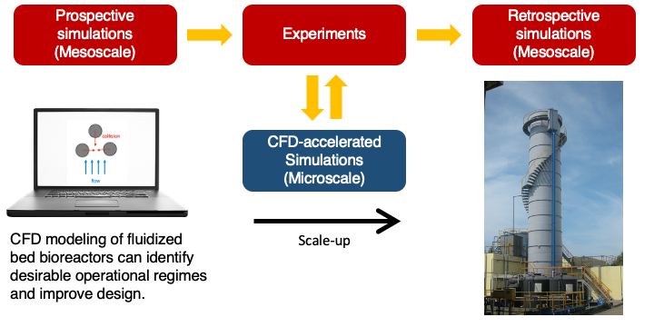 CFD-accelerated bioreactor optimization: reducing the hydrodynamic ...